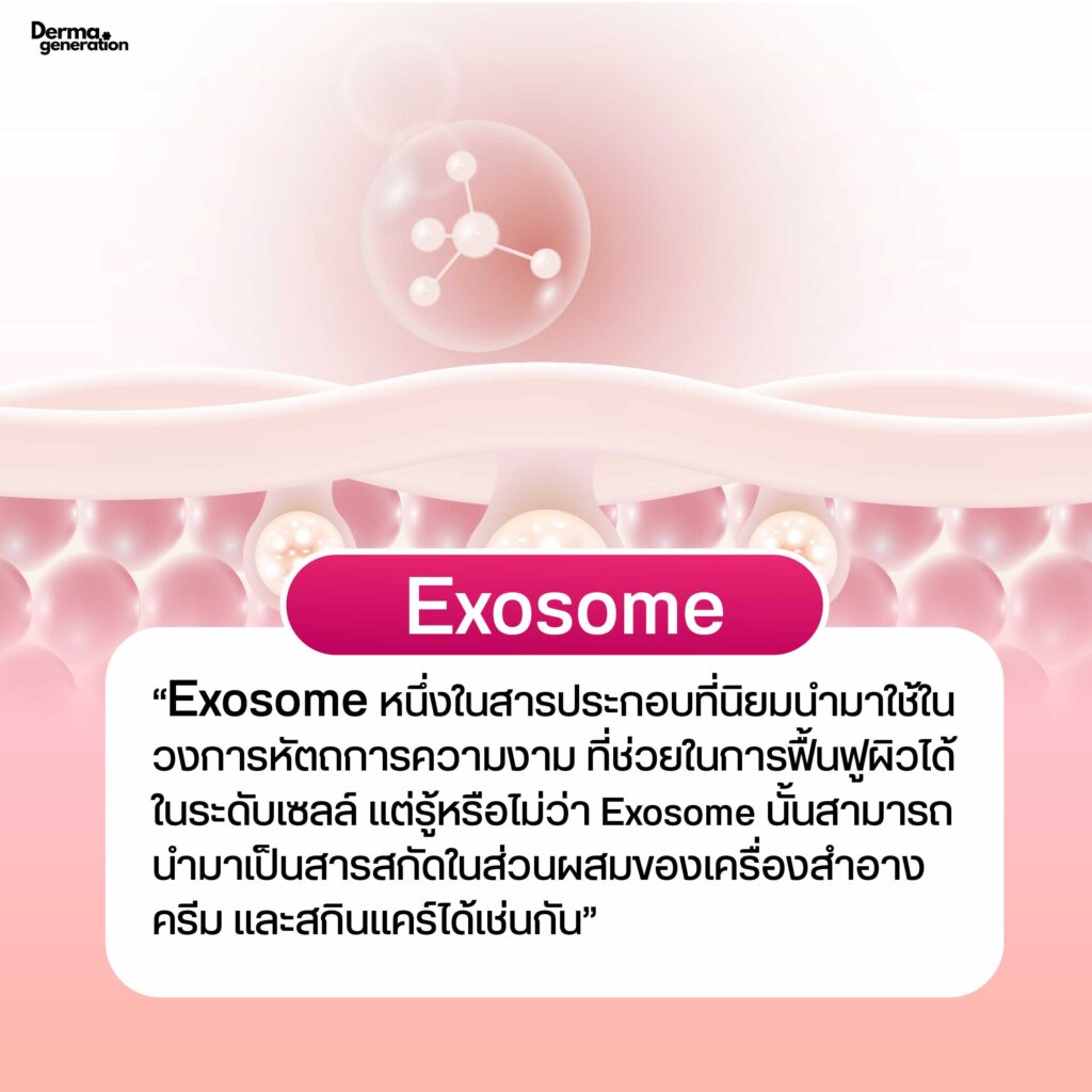 EXOSOME คืออะไร? สารสกัดทางเลือกใหม่ ของการฟื้นฟูผิว ใช้ในผลิตภัณฑ์ไหนบ้าง